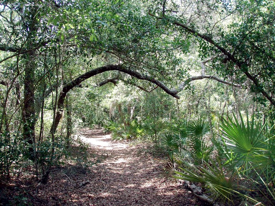 Fall events at Camp Bayou | News of Sun City Center and South County